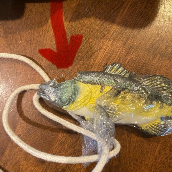 Fish Soap on a Rope Realistic Hand Painted Fun Gift for Outdoorsmen ...