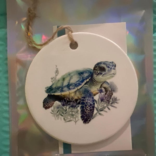 Hatching Sea Turtle Displays - Etsy