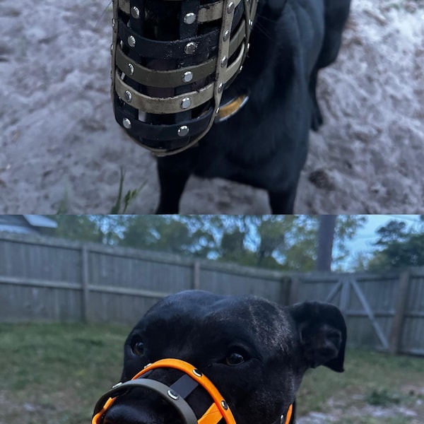 Custom Made to Measure Colourful Biothane Dog Muzzle - Ultra Adjustable ...