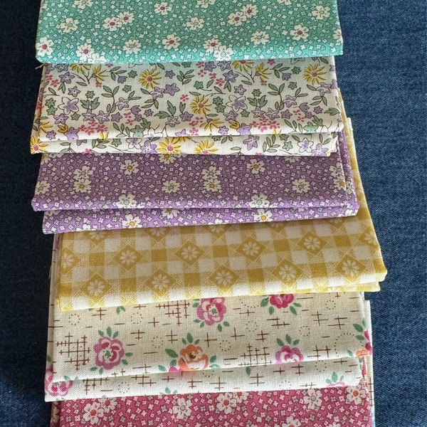 Daisy a Day Quilt Pattern Beverly Mccullough for Flamingo Toes Ziplock ...