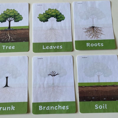 Parts of a TREE 6 Cards Flash Cards Montessori Cards Homeschooling ...
