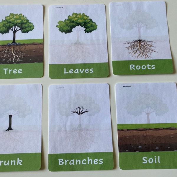 Parts of a TREE (6 Cards) - Flash Cards | Montessori Cards ...