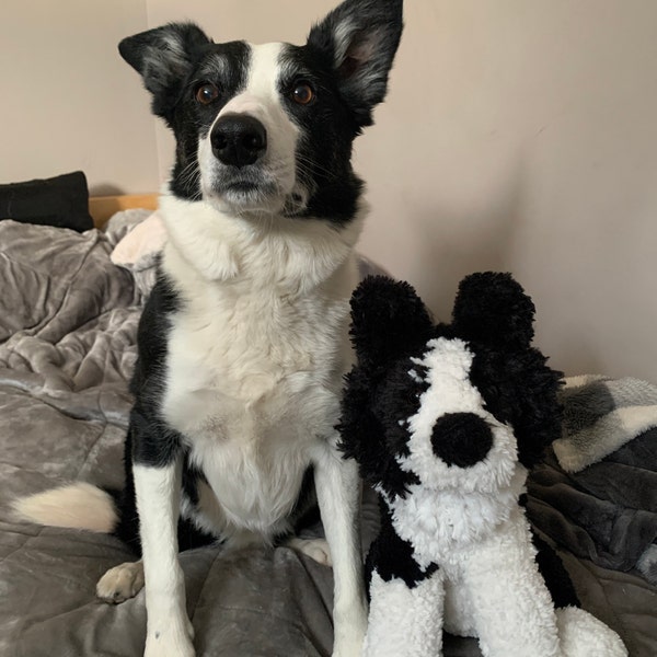 Crochet Pattern for Finnly, Realistic Crochet Border Collie Dog ...