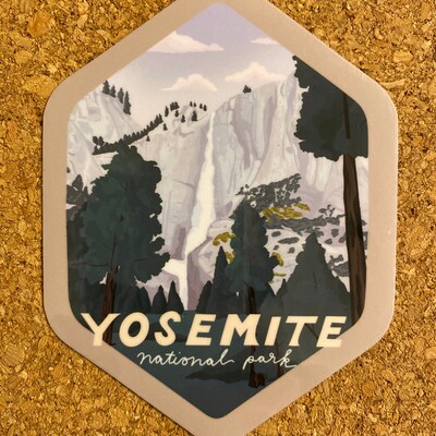 Owls Field Guide Poster, Owls of North America Wall Art, Types of Owls ...