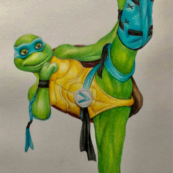 Teenage Mutant Ninja Turtles Comic Collage Print - Etsy