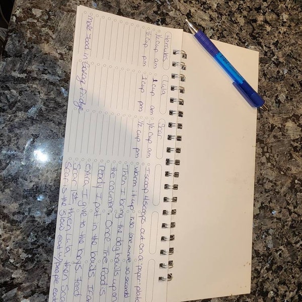 Weekly Planner Notepad Organizer - Tear off Sheets, Scheduler ...