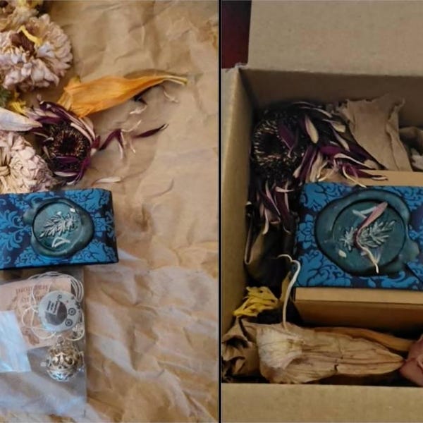 Rosemary's Baby Tannis Root Herbal Locket Necklace: Witchcraft Herbal ...