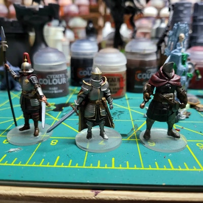 Waterdeep City Guard Dungeons & Dragons Waterdeep Dragon Heist Human ...