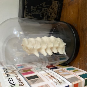 Gothic Jaw Phone Holder Human Jaw Replica Handmade by the - Etsy