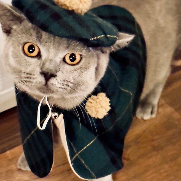Beret and Cape for Pets, 2 Piece Costume for Cats and Dogs, Pet Cloak ...