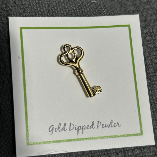 Gold Skeleton Key Lapel Pin- CC417G- Skeleton Key, Passkey, Master Key ...