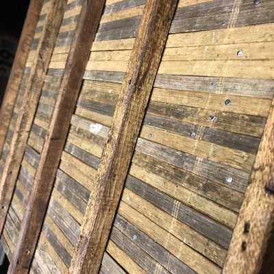 15 Fresh Flower Seeds Texas Star Swamp Hibiscus Large Red Flowers ...