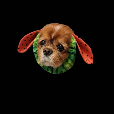 Little Prince & Princess NEW Smocking Plate Ellen Mccarn - Etsy