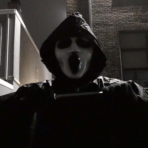 Brandon James Mask Replica for Cosplay Costume to Halloween Party - Etsy