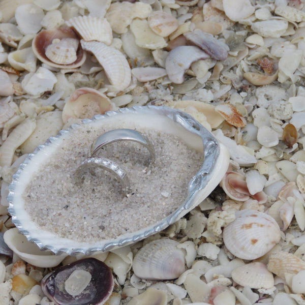Pairs of Cockle Shells Salt and Pepper Pinch Pots, Salt and Pepper ...
