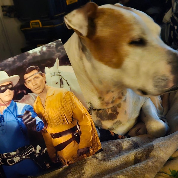 The Lone Ranger and Tonto 8 X10 Photo - Etsy