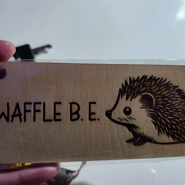 Hedgehog Name Sign, Hedgehog Name Tag, Hedgehog Cage Sign, Hedgehog ...