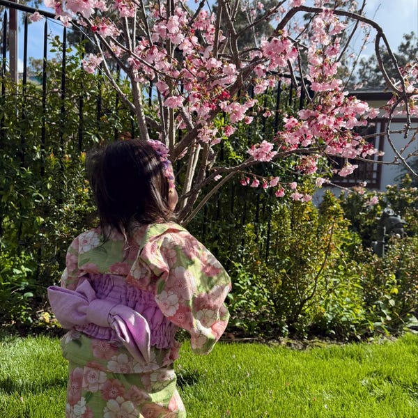 Otedama Set / Otedama Japanese Juggling Ball , Game of Jacks, Mini ...