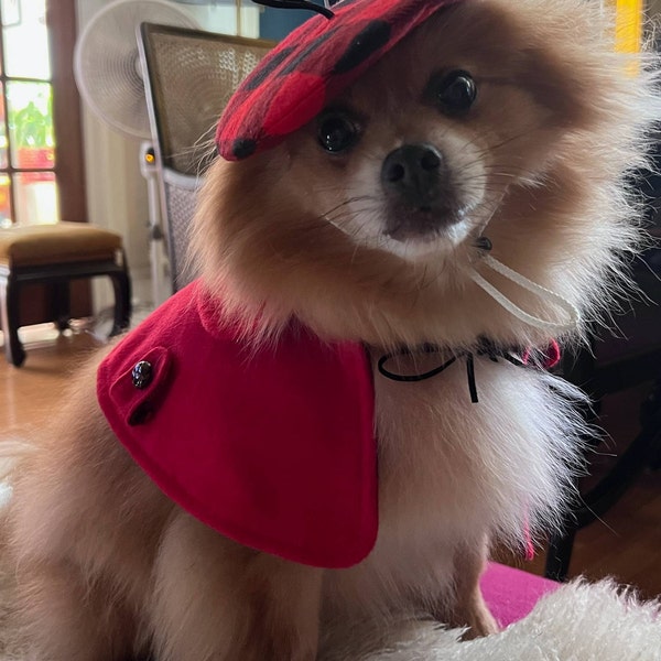 Dogs Beret, Cape Set! HANDMADE Dog Hats, Dog Caps, Baseball Hat ...