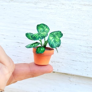 Dollhouse Miniatures Plants Printable 1:12 Scale. 13 Different, Paper ...