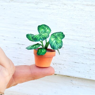 Dollhouse Miniatures Plants Printable 1:12 Scale. 13 Different, Paper ...