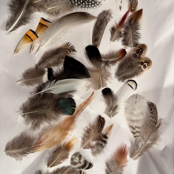 SOARING Bird of Prey Necklace - Bird Flying, Bird Necklace, Flying Bird ...