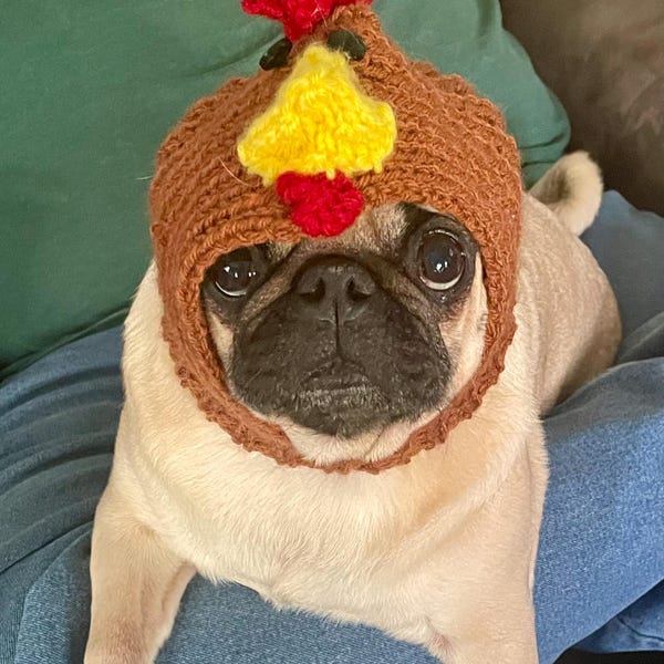 Knit Pug Halloween Costume/ Soft PINK Dinosaur Hat for Dog/ Dino Dog ...