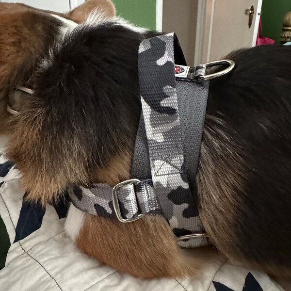 Custom Corgi Harness: Easy On, Reclaimed Seat Belt Webbing, USA Made - Etsy