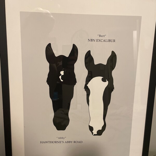 Editable Stall Card Template for Horse Shows With Logo and Photo ...