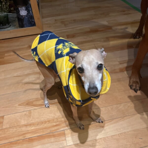 University of Michigan Dog Coat - Etsy