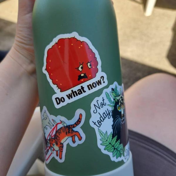 Just Bluey and Bingo, Hanging Out, Being Silly, Everyday Adventures ...