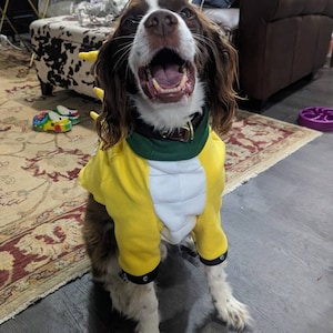 Princess Daisy Pet Costume From Super Mario Brothers XS-XL - Etsy