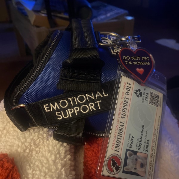 ESSA Harness With Handle Emotional Support Plush Make Your Own Stuffed ...