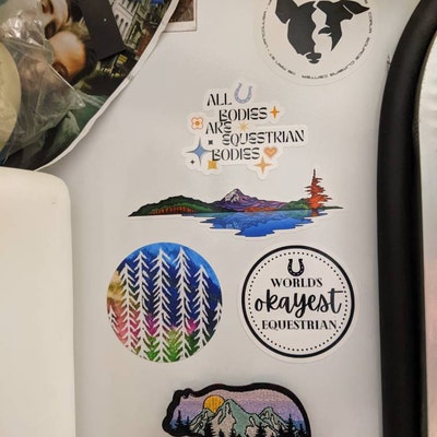 World's Okayest Equestrian Sticker VSCO Water Bottle - Etsy