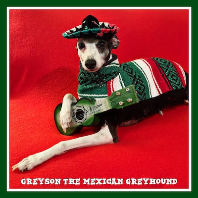 Mariachi Dog Costume/ Mariachi Outfit for Dogs/ Mexican Dog Costume ...