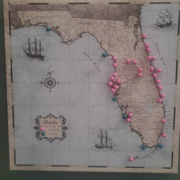 Florida Travel Push Pin State Map Rustic Vintage Cork Pin Board Canvas ...