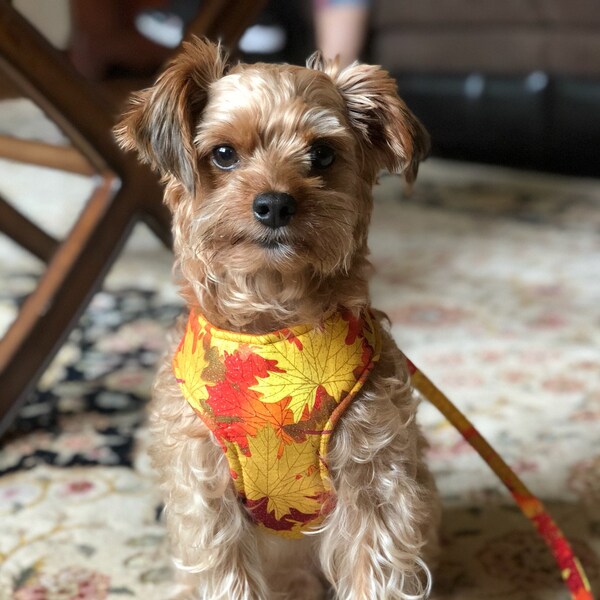 Metallic Fall Leaf Comfort Soft Dog Harness - Made to Order - - Etsy