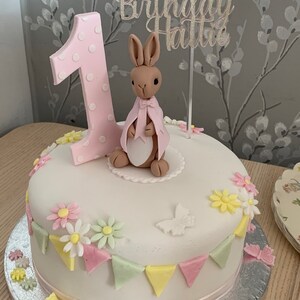 Edible Fondant unofficial Peter Rabbit Cake Topper - Etsy UK