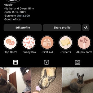 200 Insta Highlight Covers Pastel Line Art, Boho Cute IG Story Icons ...