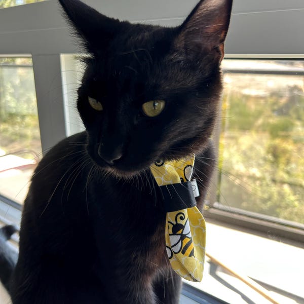 New Add on Lightning Bolt for Personalized New Lighted Addition for ...