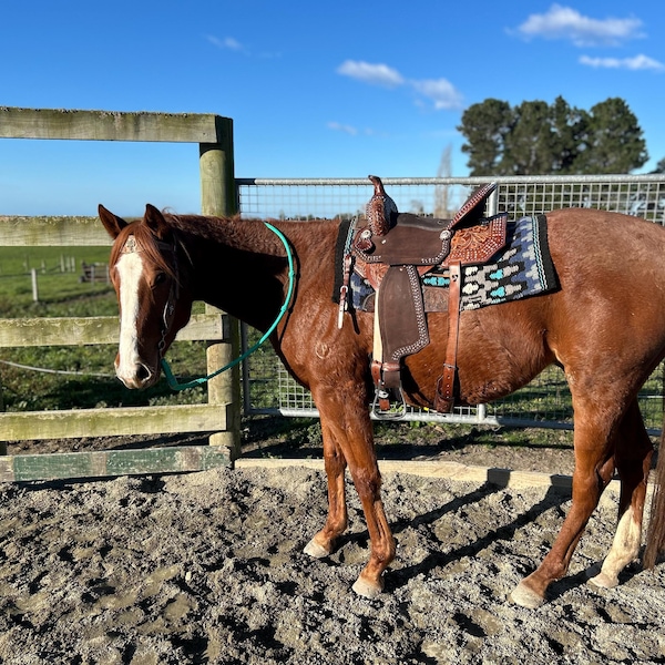 New Western Leather Saddle Barrel Racing, Roping, Trail, Quality ...
