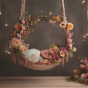 Red Cardinal Png Overlay, Winter Bird Clip Art, Christmas Bird Overlays ...