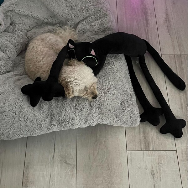 Floppy Noodle Cat Plush - Etsy