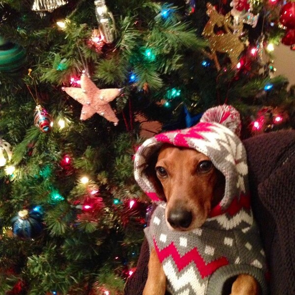 1920 Black and Yellow Dress With Jacket, Silk, Shattering, Use for ...