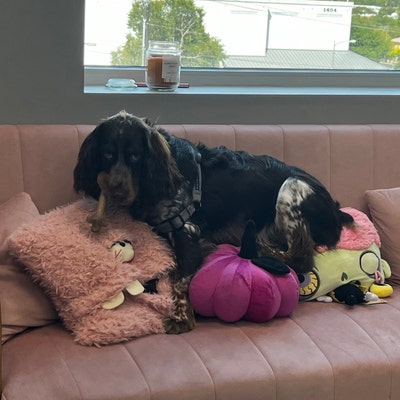 Forest Landscape With Hank by Zozovillegallery Premium Art Print for ...