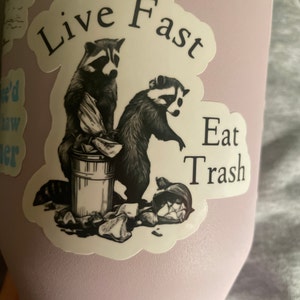 Fight Me Coward Raccoon Sticker, Raccoon Sticker Decal - Etsy