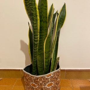 Handmade Ottoman Dog House Bench Footstool Bench Hallway - Etsy