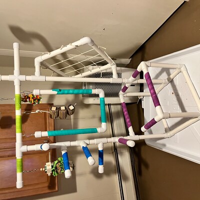42 Tall 1 PVC Macaw Parrot Perch Stand Swing - Etsy