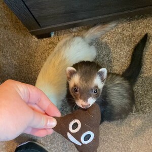 Ball Python Pastel Watercolor Snake A Plushie Stuffed Animal - Etsy