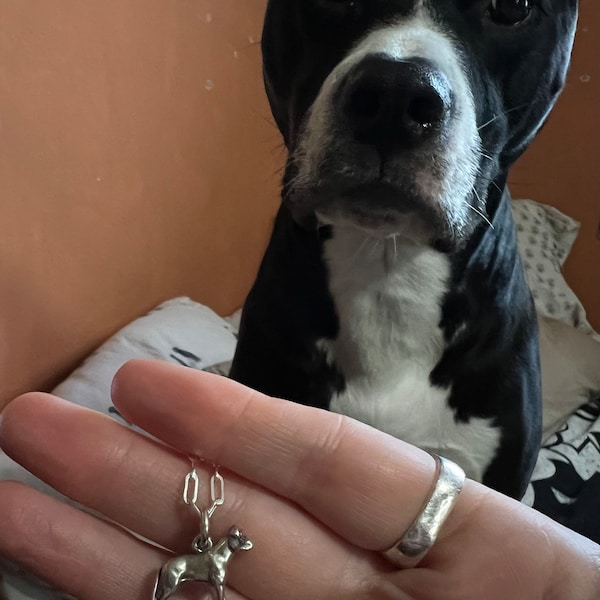 Pit Bull Charm, Pit Bull Pendant, Pit Bull Lover, Bully Breed, Bully ...
